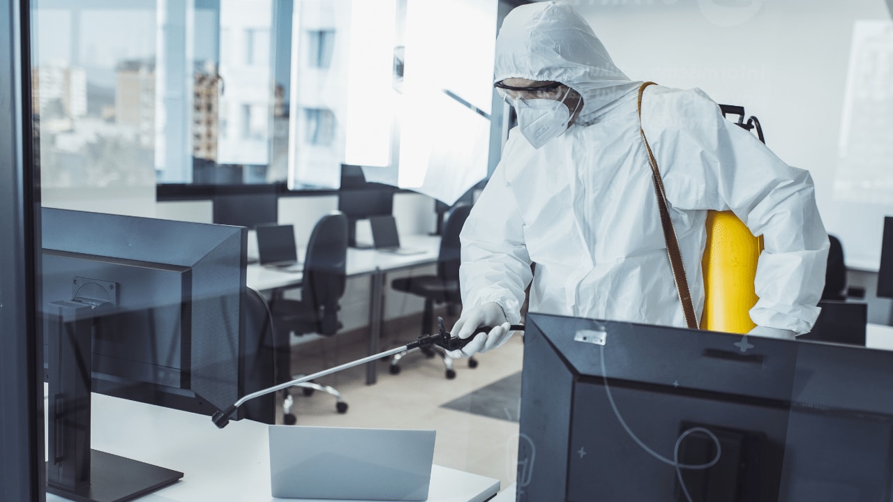 Fumigación y control de plagas - Deluxe Clean